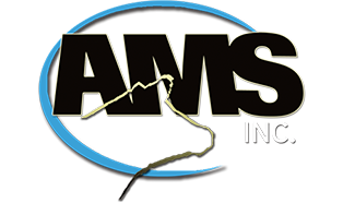 AMS Online Sales